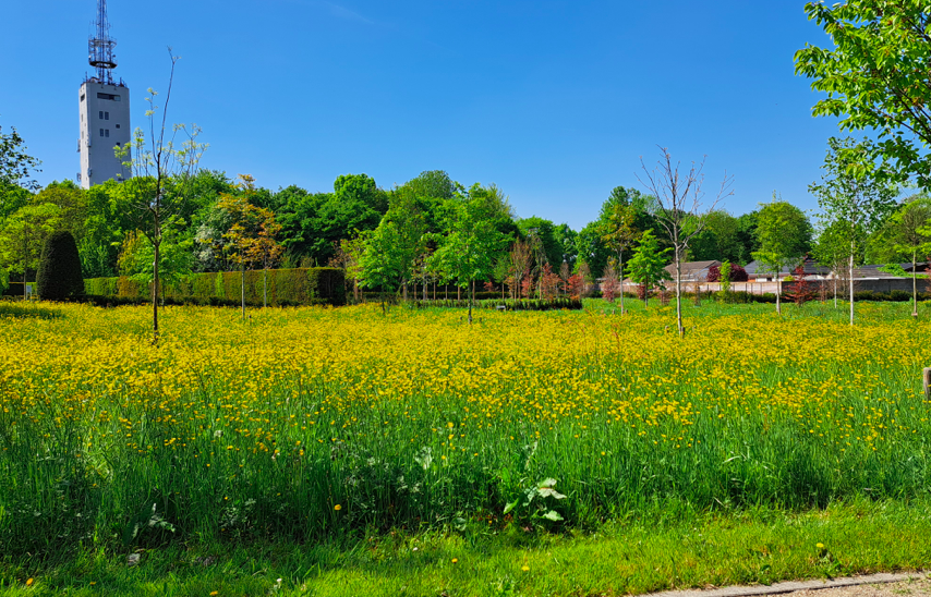 Is kort gras nog van deze tijd?