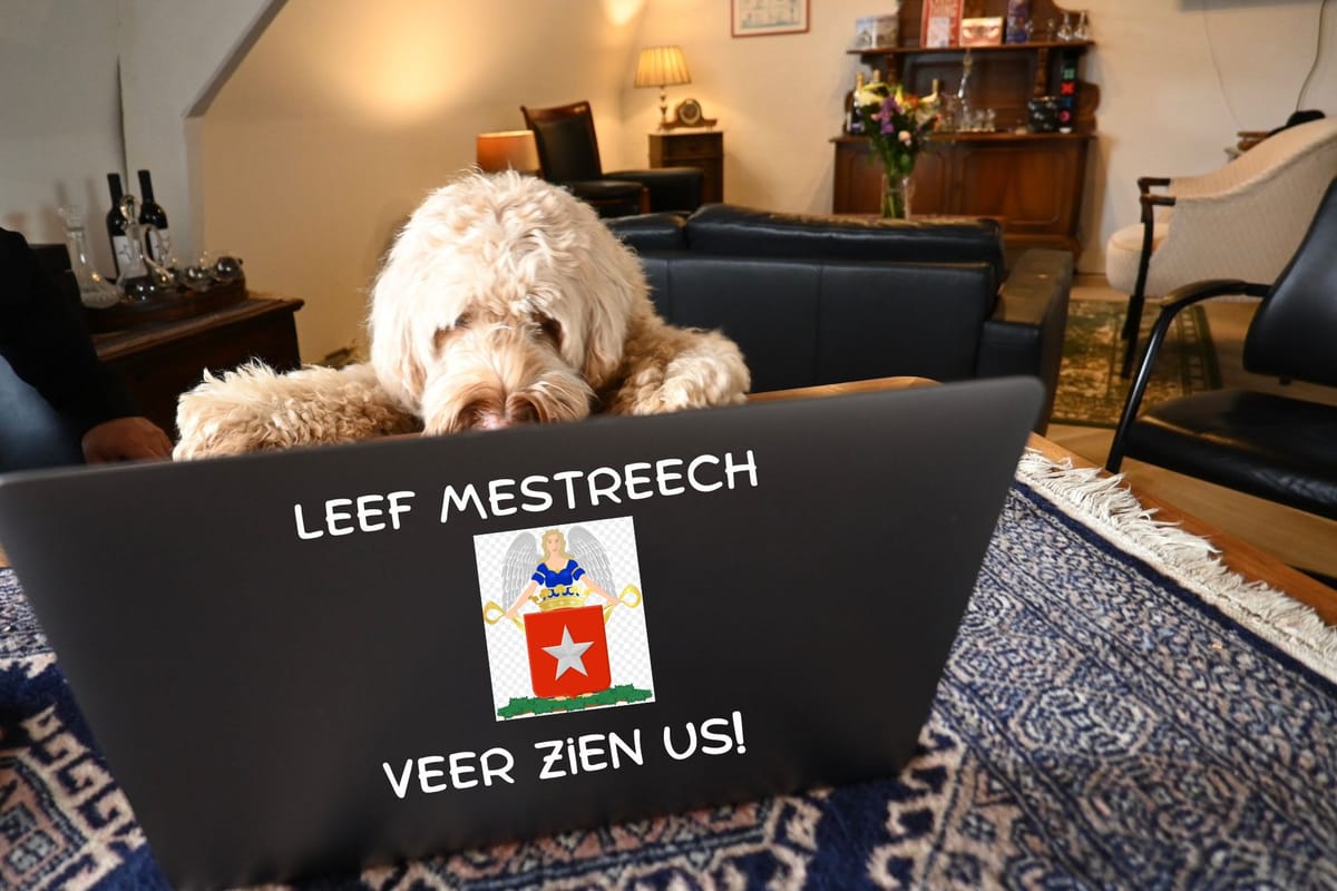 Leef Mestreech
