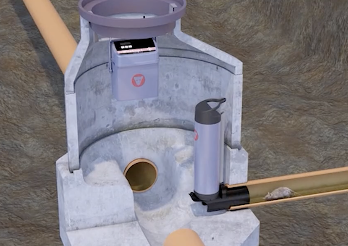 Overmatige rattenpopulatie en extreem weer slopen riool