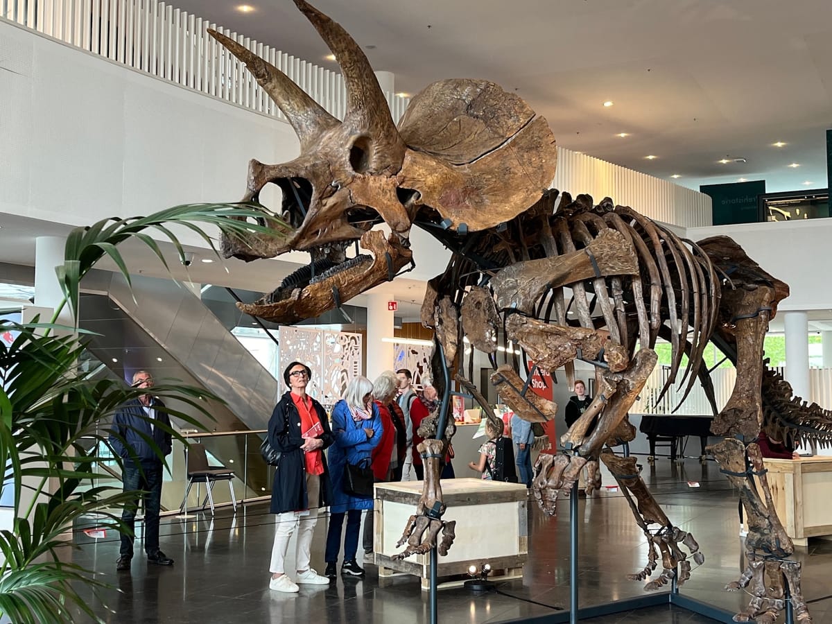 Dino op eigen poten