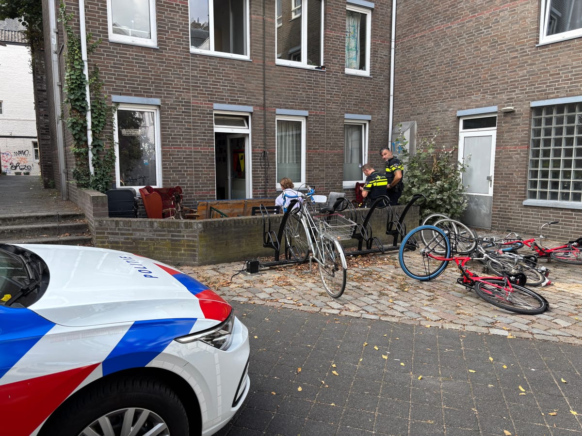 Agressieve zwerver flipt uit tegen student